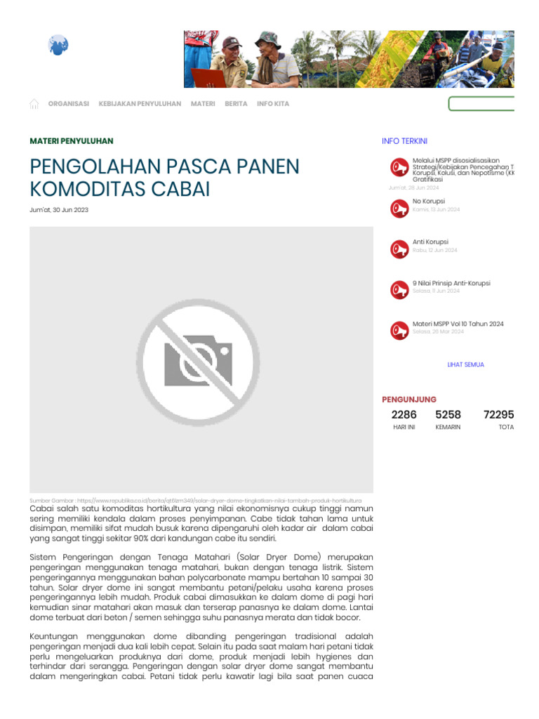 Pengolahan Pasca Panen Komoditas Cabai | PDF