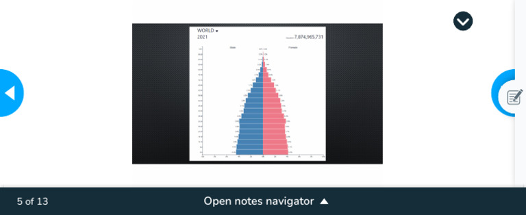 Nearpod - Population Pyramids (2) | PDF