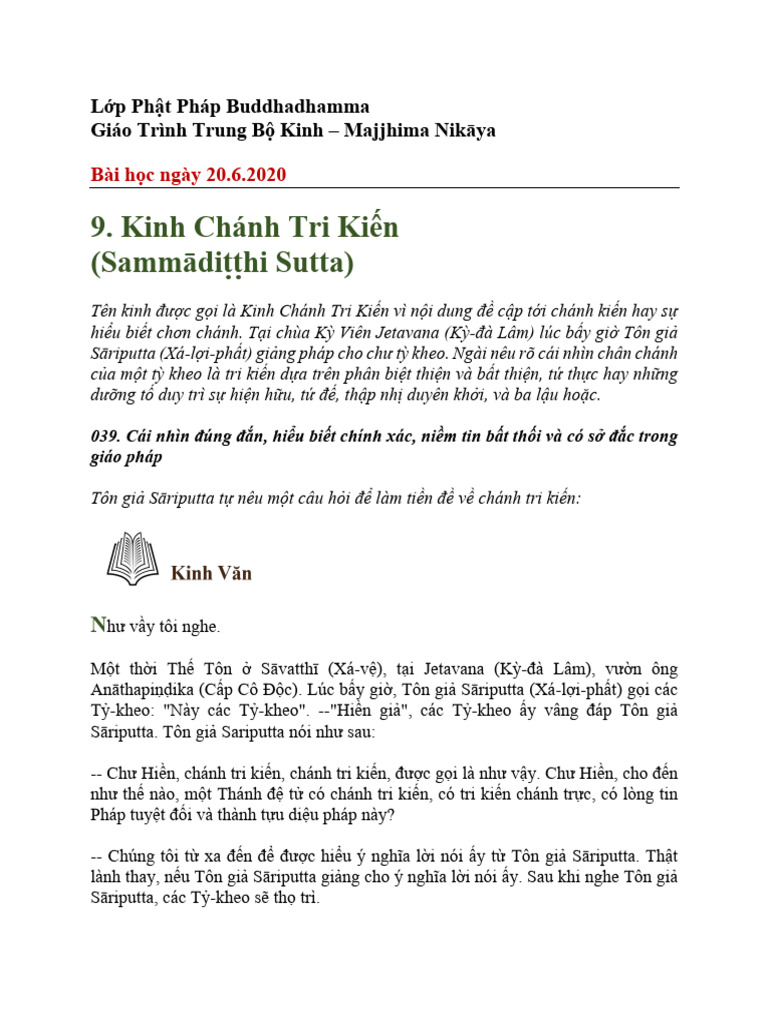 9 Kinh Chanh Tri Kien Sammaditthi Sutta | PDF