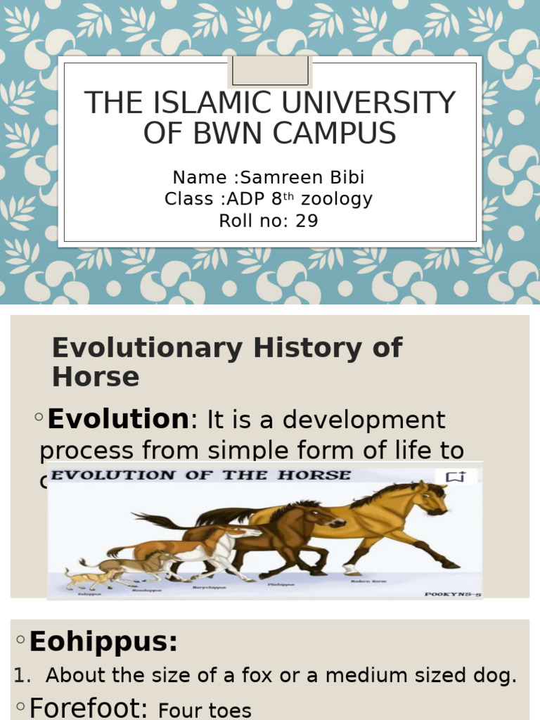 The Islamic University of BWN Campus: Name:Samreen Bibi Class:ADP 8 Zoology Roll No: 29 | PDF