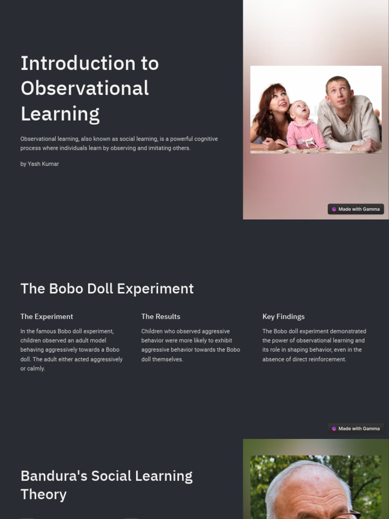 Introduction-to-Observational-Learning | PDF | Learning | Behavior ...