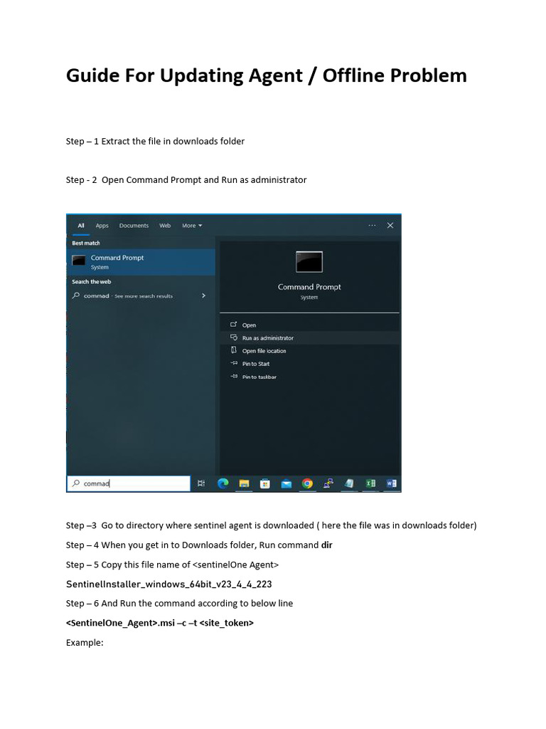 Guide To Install Sentinel | PDF