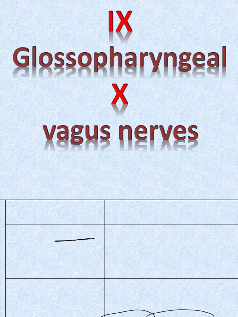Glossopharyngeal & Vagus Nerve Exam | PDF