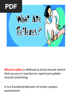 Activity 2b Deep Tendon Reflexes | PDF | Neuroanatomy | Nervous System