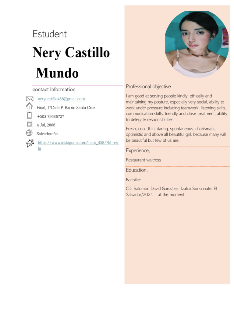 Curriculum Vitae de Nery Castillo | PDF