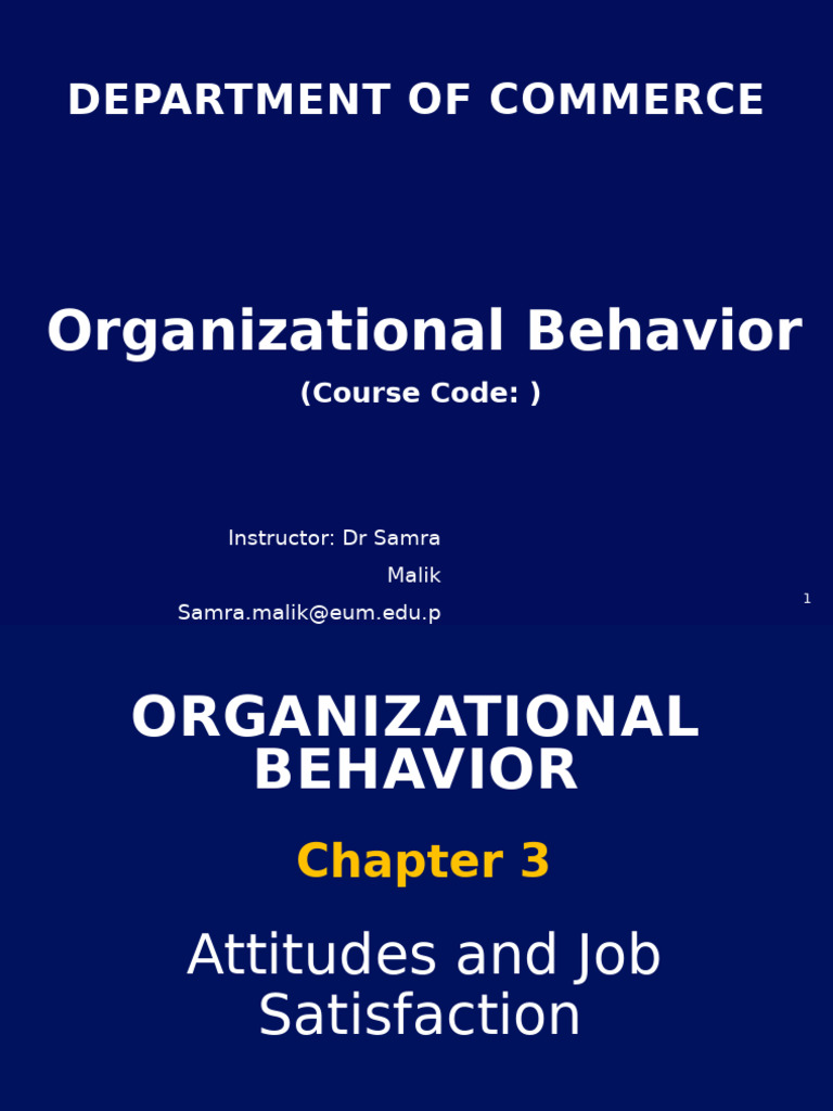 OB Chapter 3 | PDF | Job Satisfaction | Attitude (Psychology)