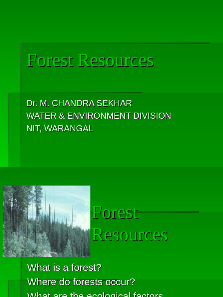 forest res. | PDF | Forests | Precipitation