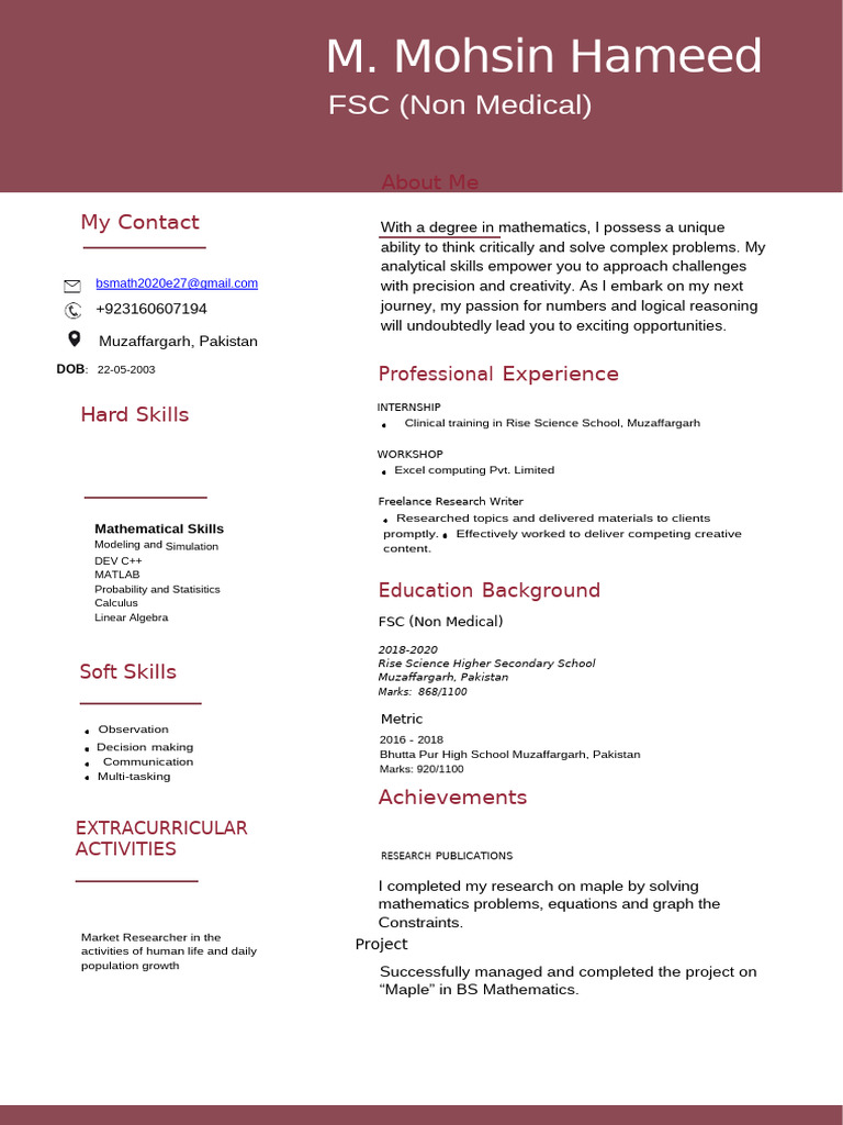 Mohsin Hameed CV | PDF | Mathematics | Applied Mathematics