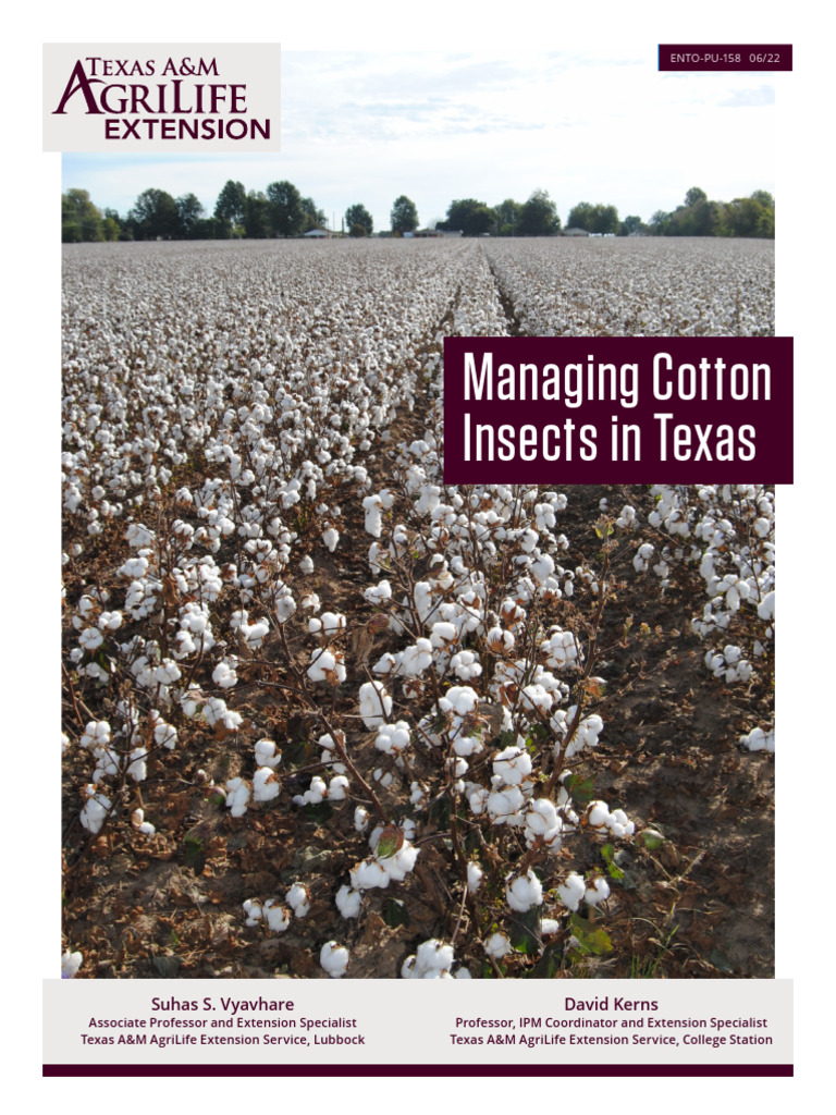 Managing Cotton Insects in Texas | PDF | Pest (Organism) | Insecticide