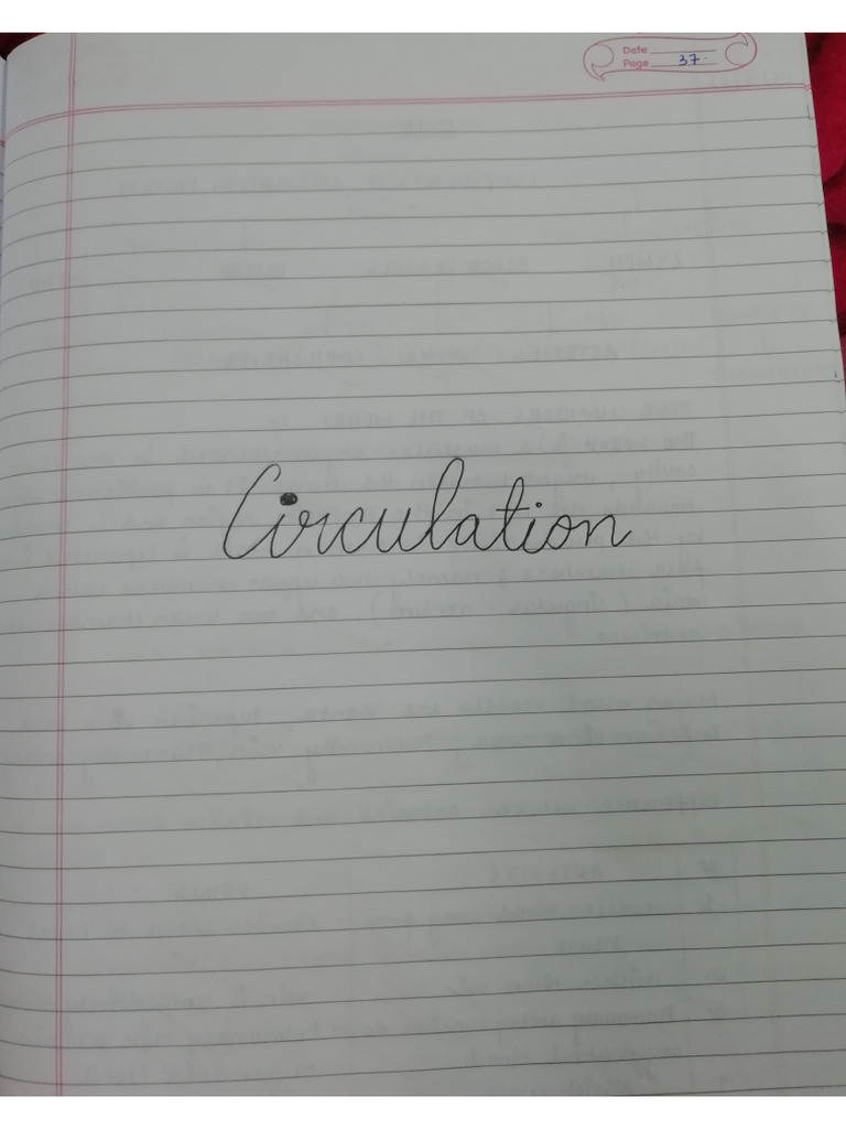 Circulation Final Pdf