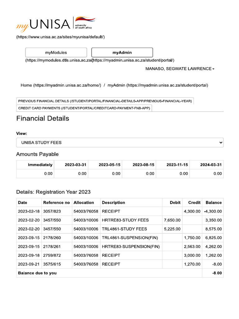 Finicial Statement 10123 | PDF
