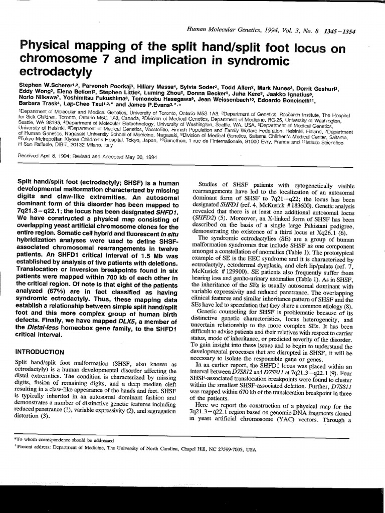 Scherer Et Al | PDF