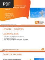 Grade 5 Plant Life Cycle Worksheet | PDF