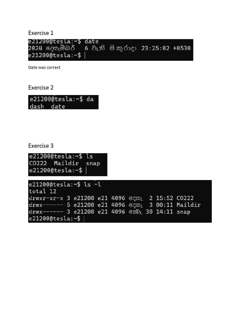 Directory Management and File Sorting Exercises | PDF
