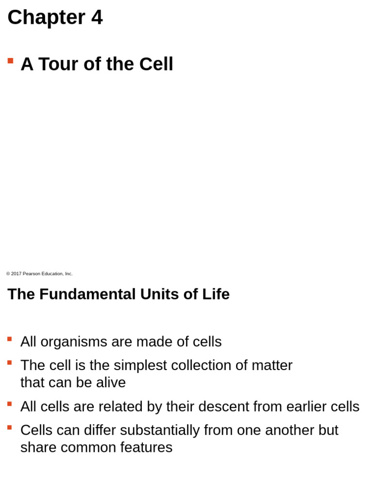Chapter 4. A Tour of The Cell PPT 2022 2023 2 | PDF | Endoplasmic ...