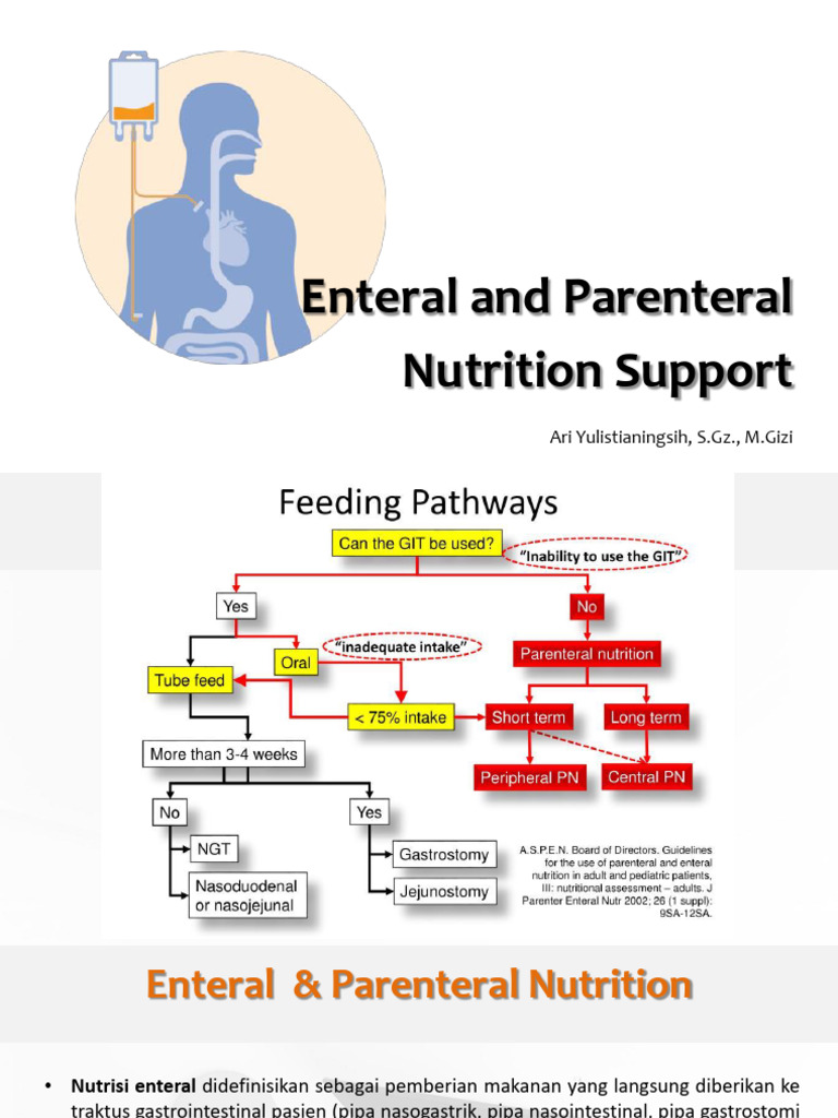 Gizi Enteral Parenteral | PDF