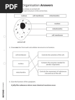Eukaryotic and Prokaryotic Cells Quiz | PDF | Cell (Biology) | Eukaryotes