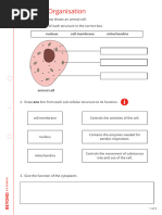 Specialised Cells Worksheet With Answers | PDF | Cell (Biology ...