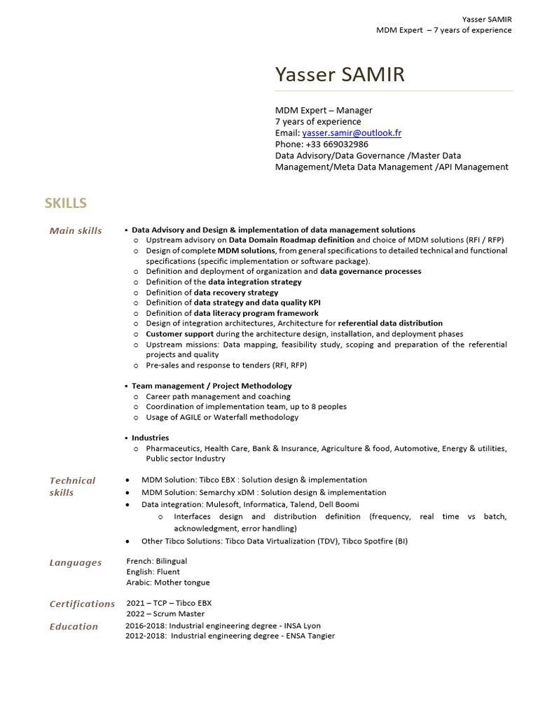 CV Y. SAMIR - MDM Expert - Manager - EN | PDF | Specification (Technical Standard) | Interface ...
