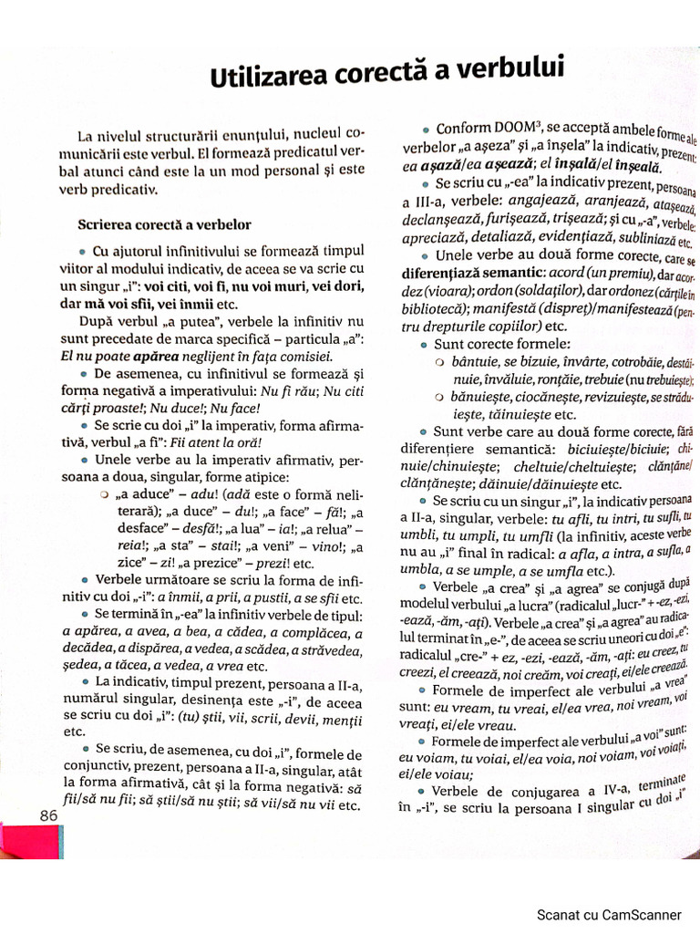 Verb Norma Lingvistica | PDF