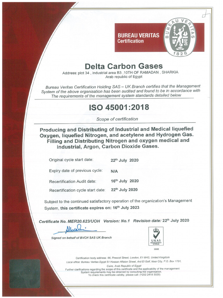 ISO 45001 2018 | PDF