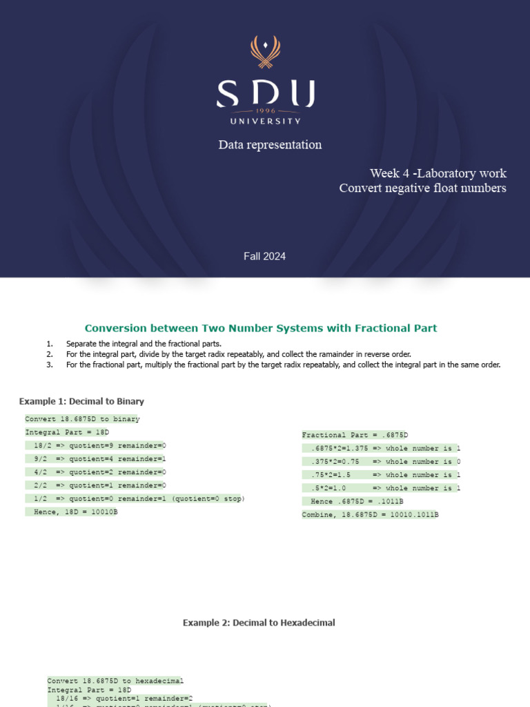 Data Representation.pptx (1) | PDF | Numbers | Integer (Computer Science)