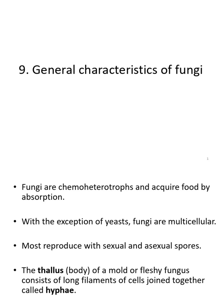 9. General characteristics of fungi | PDF | Fungus | Yeast