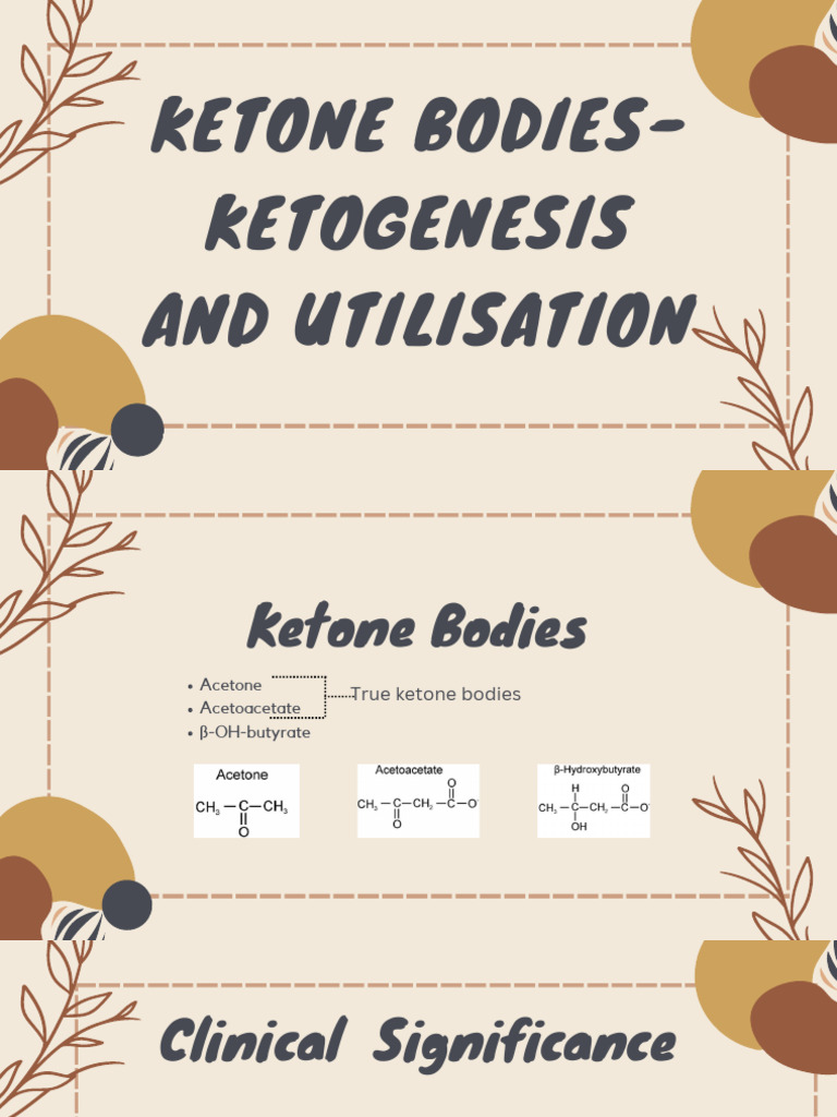 Ketone Bodies- Ketogenesis and Utilisation | PDF