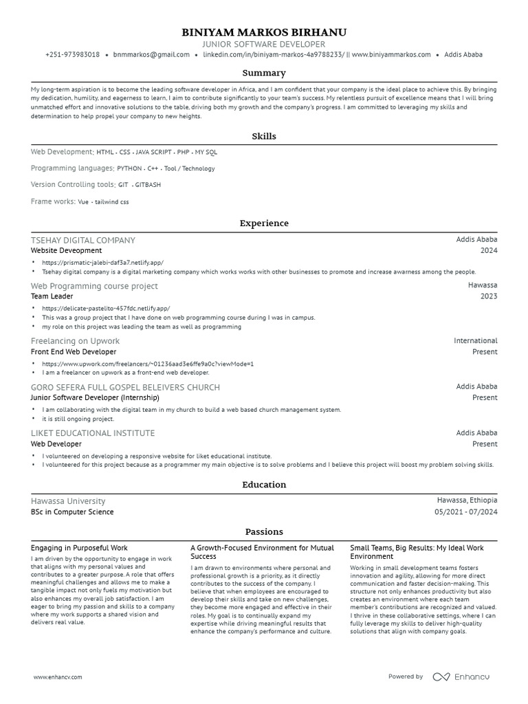 Cv-example | PDF | Goal | Web Development