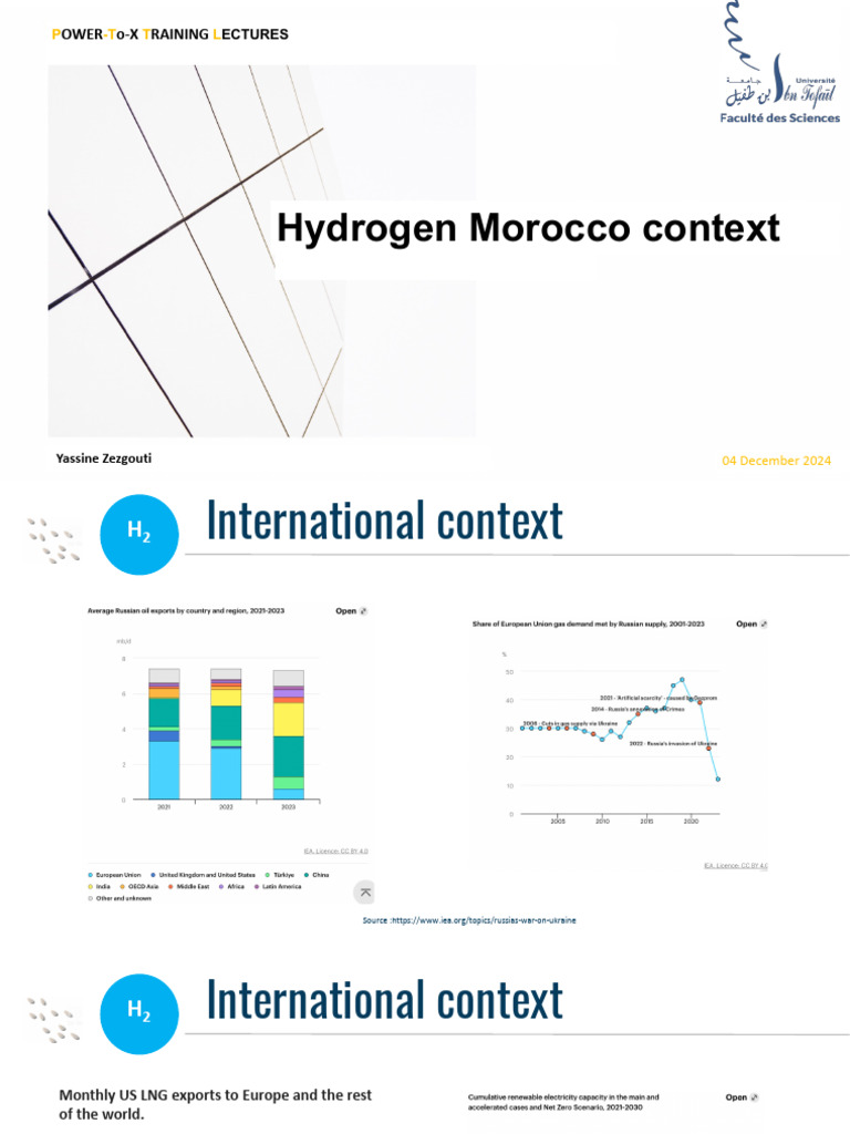 Future of Distribution in Morocco | PDF | Energy Development | Morocco