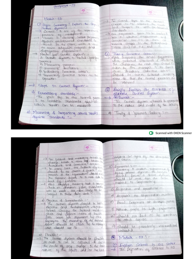 MGMT Assignment 4 | PDF