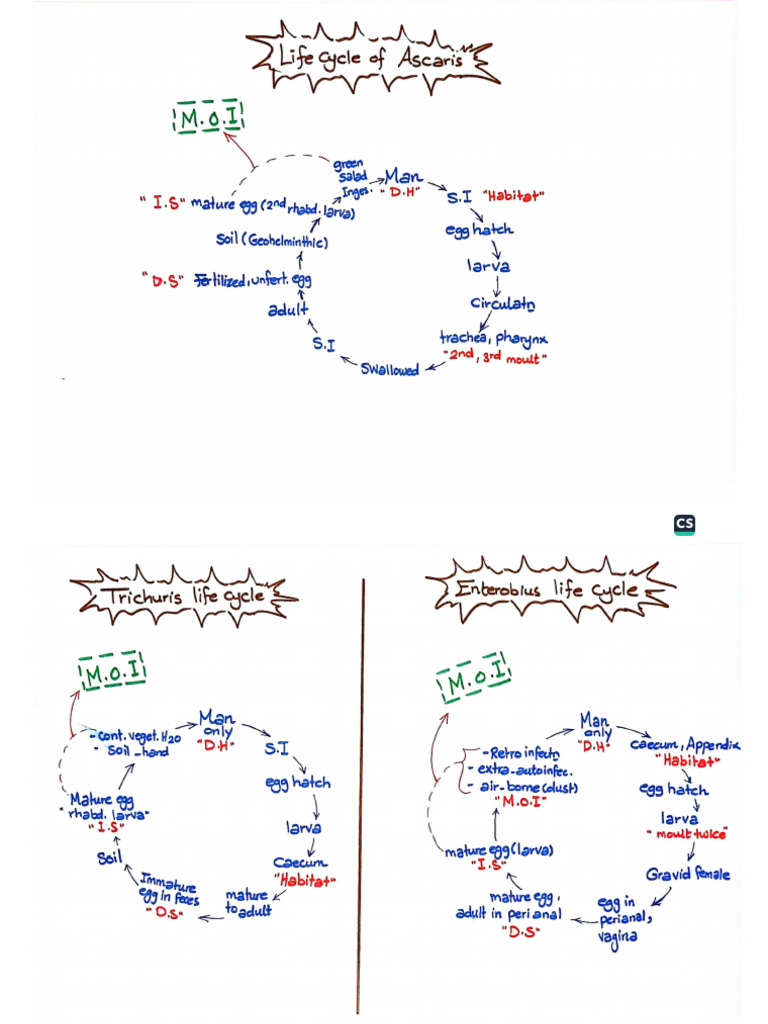 Lect. 8&9 - Board. para | PDF