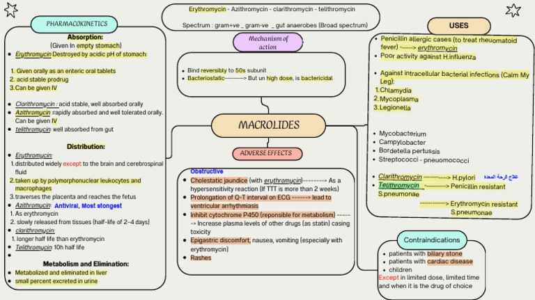 Macrolides | PDF | Medicinal Chemistry | Drugs