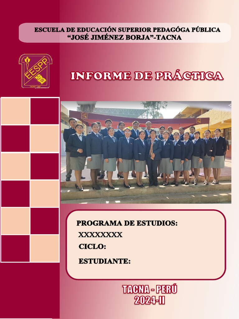 Informe Final de Prácticas Ayudantia | PDF