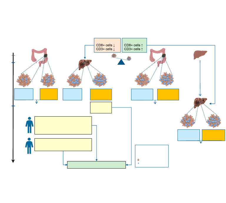 Graphical abstract IJC | PDF | Colorectal Cancer | Neoplasms