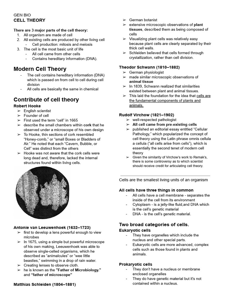1ST_GEN-BIO_-NOTES | PDF | Epithelium | Connective Tissue