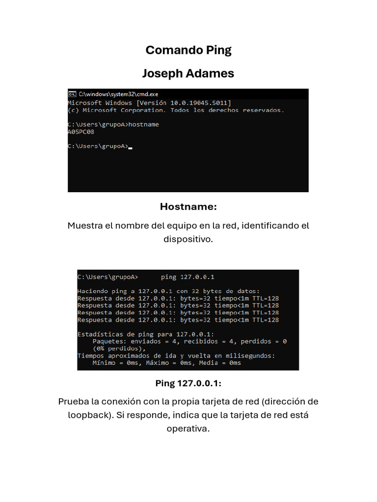 Ping | PDF