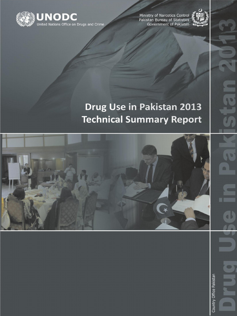 Technical Summary Report - Drug Use Survey | PDF | Substance Abuse | Heroin