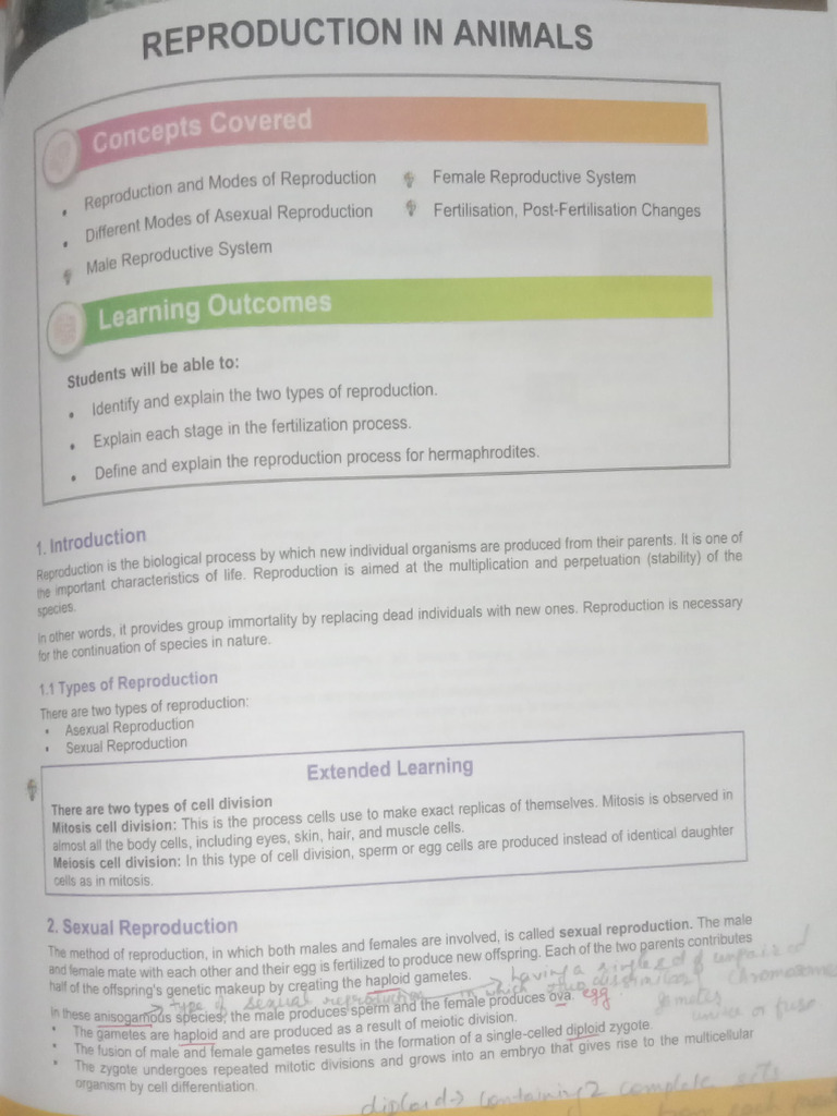 Class 8th Reproduction in Animals | PDF | Sexual Reproduction ...
