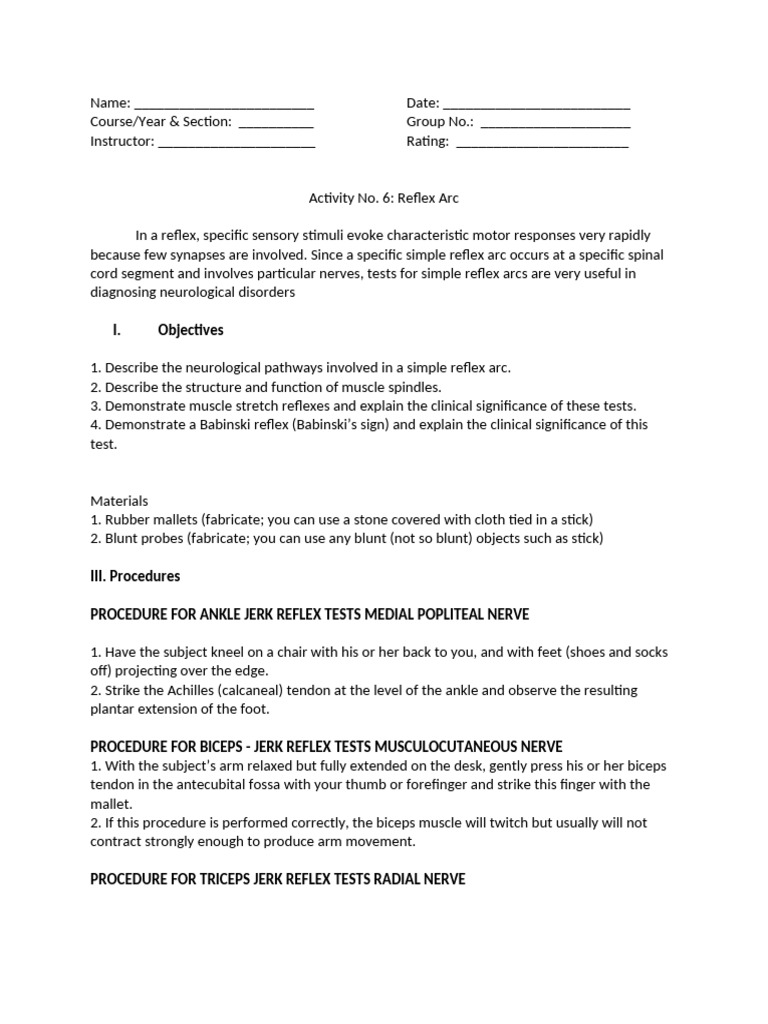 Activity 6 Reflex Arc | PDF | Human Anatomy | Nervous System