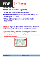 LFSC Grade 10 - Unit 4 - Plant and Animal Tissues | PDF | Tissue ...