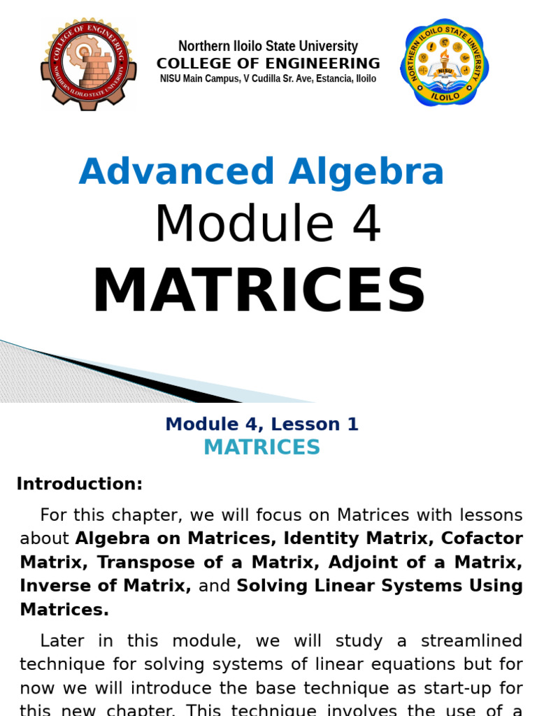 Adv a Module 4 Matrices | PDF