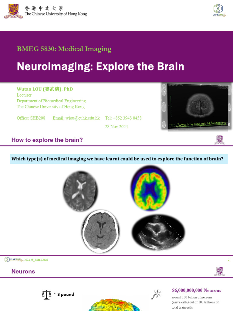 L12 | PDF | Neural Oscillation | Functional Magnetic Resonance Imaging