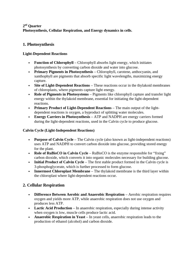 2nd Quarter Reviewer Photosynthesis and Cellular Respiration | PDF ...