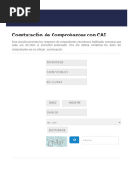 Constatacion Cae | PDF