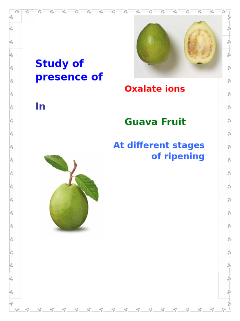 Chemistry Investigatory Project Presence of Oxalate Ions in Guava at ...