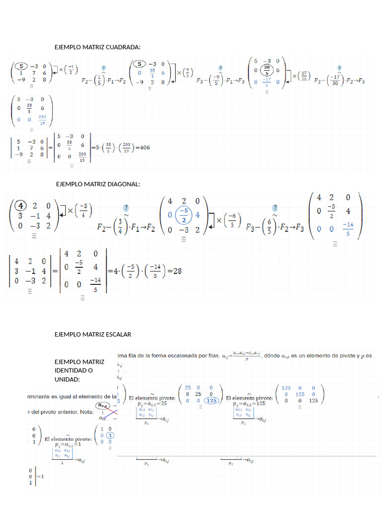Ejemplo Matriz Cuadrada y Tipos | PDF