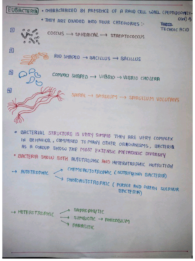 PDFGallery_20241212_191002 | PDF