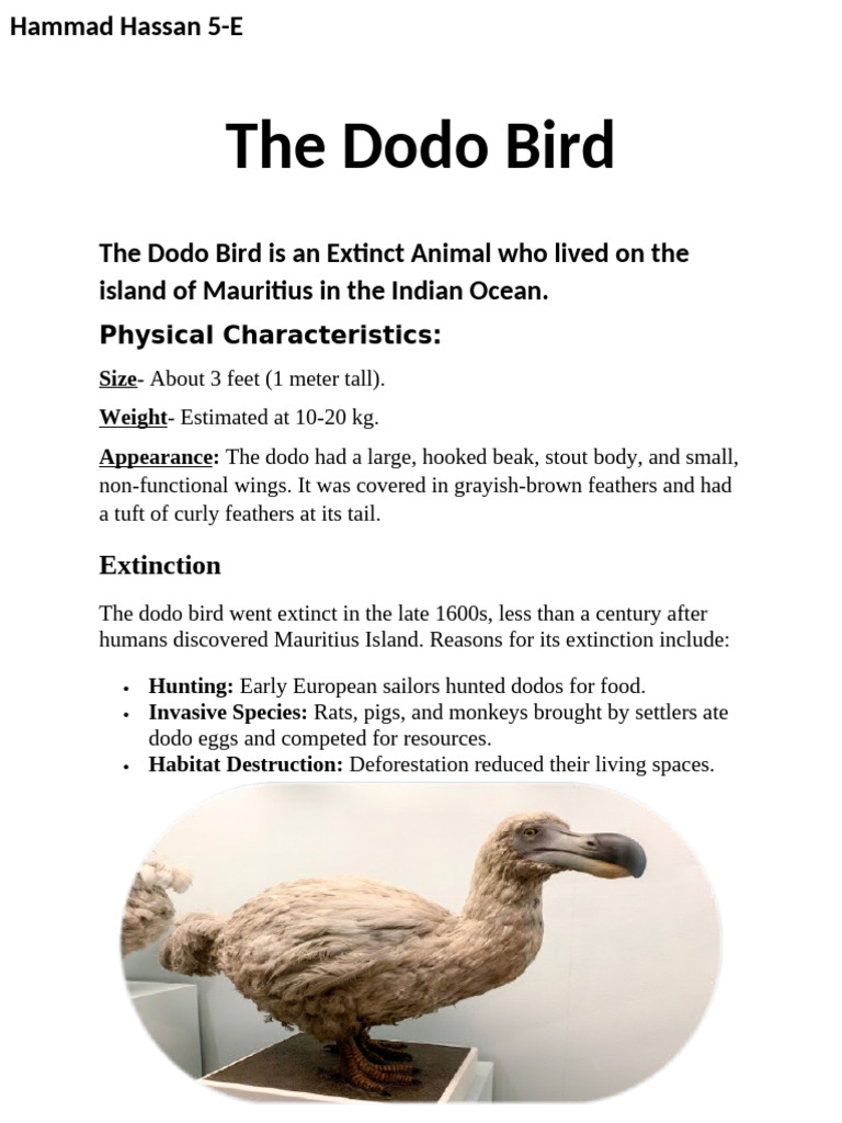 The Dodo Bird | PDF