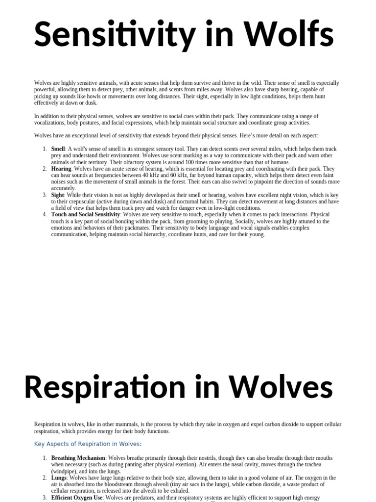Wolf Respiratory System Overview | PDF | Respiratory System | Lung